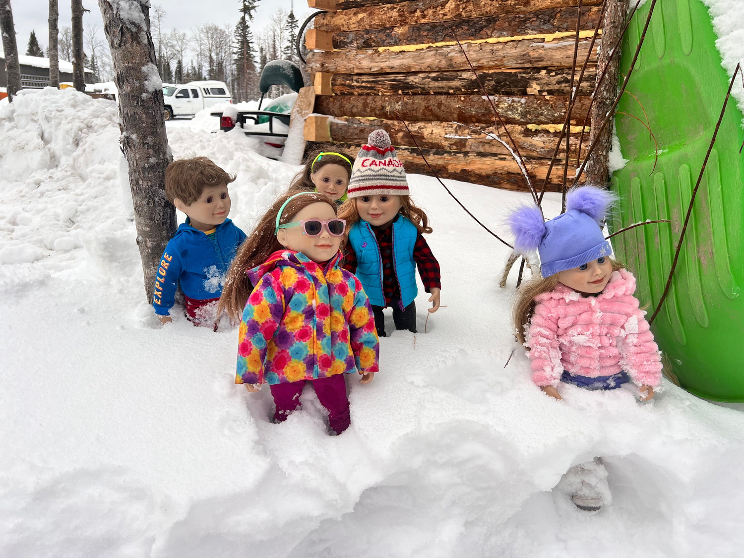 Discover – Maplelea