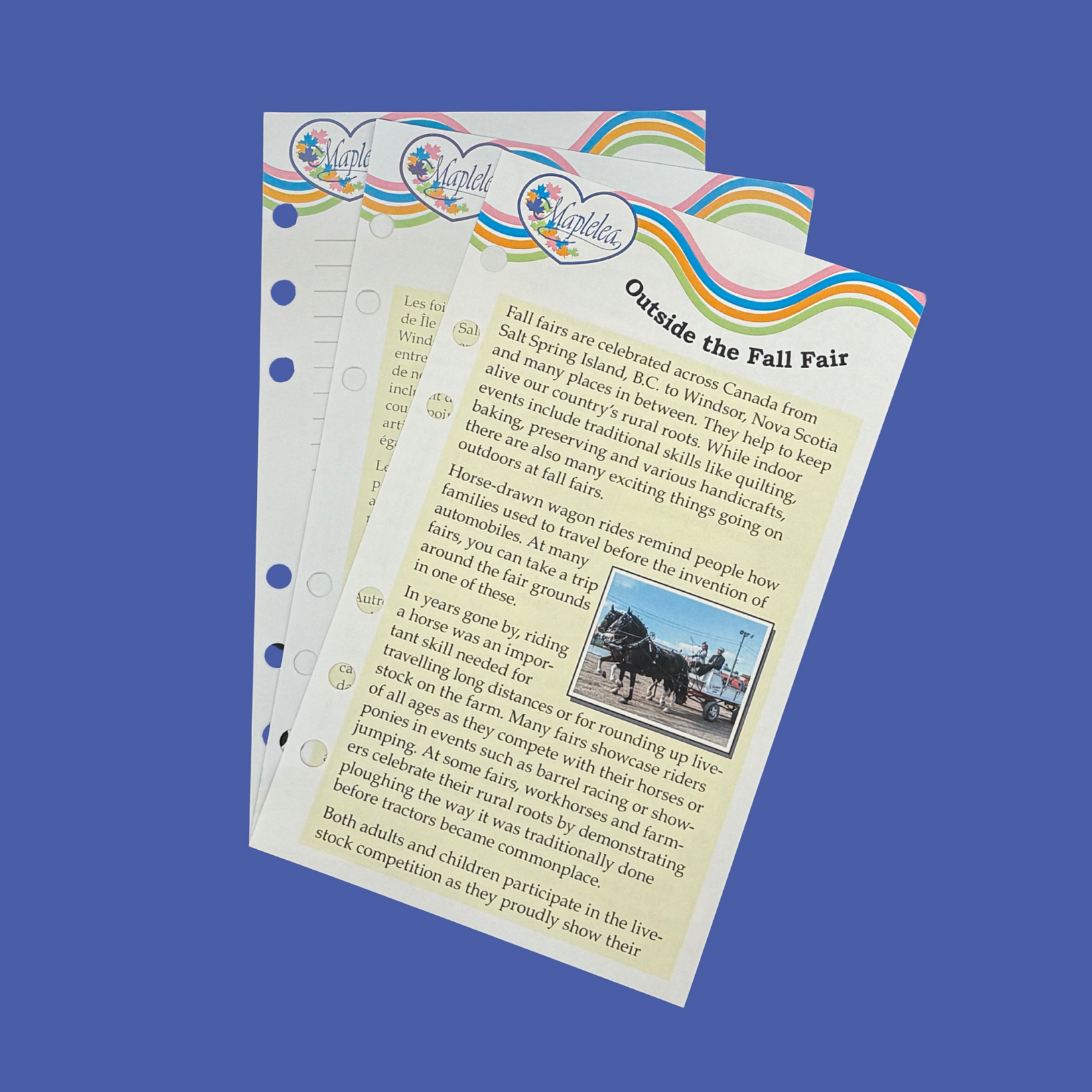 Rural Roots Pants Outfit for 18-inch Dolls – Maplelea